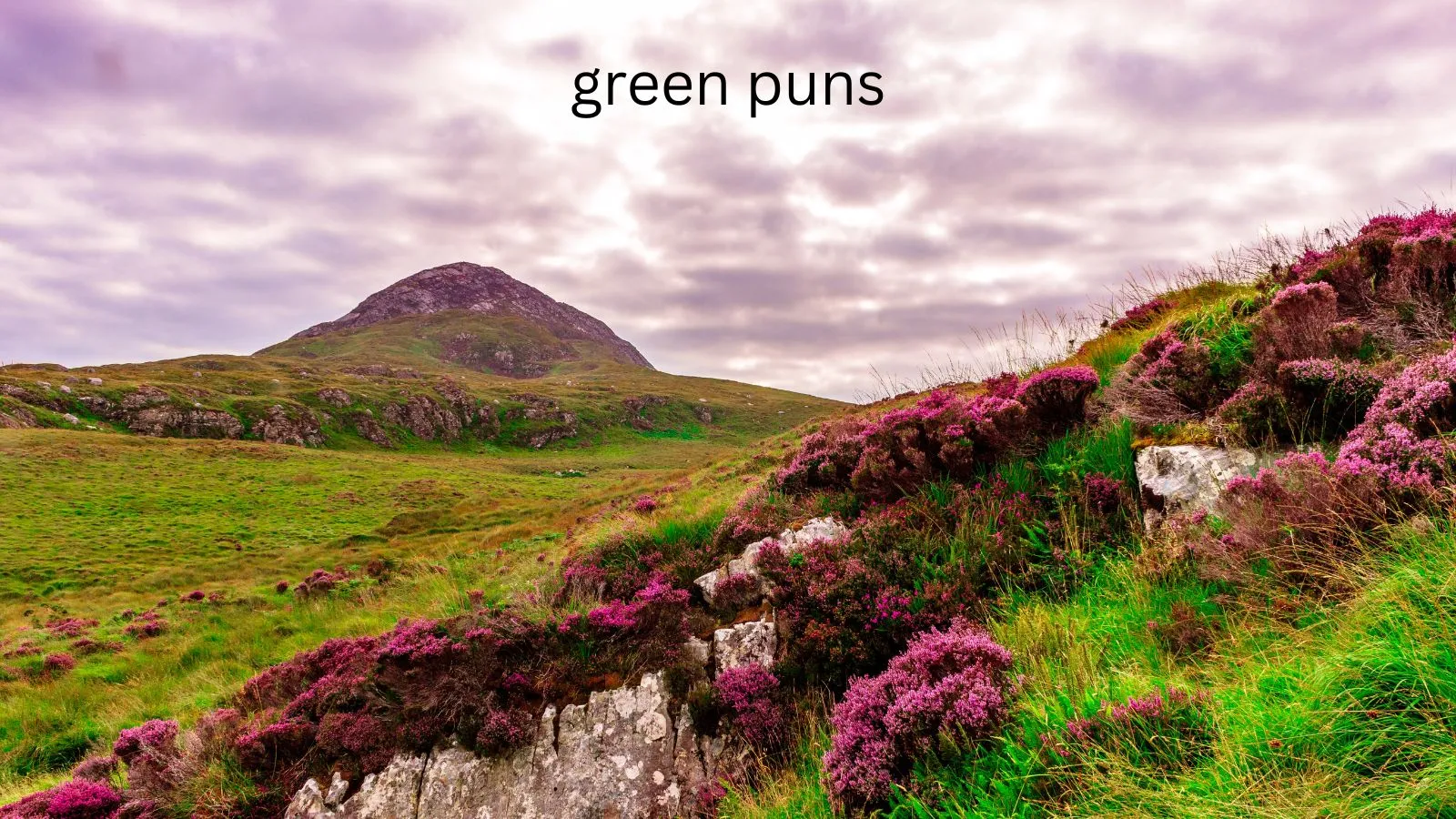 560+ 🌱 The Ultimate List of Green Puns to Brighten Your Day