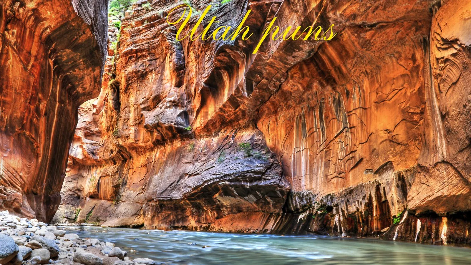 890+ Utah Puns That Are Beehive-Approved 🏞️